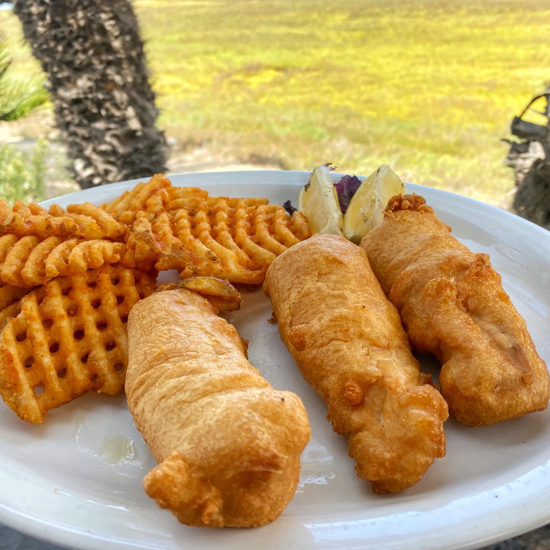 Our Menu - Cappy's Cafe